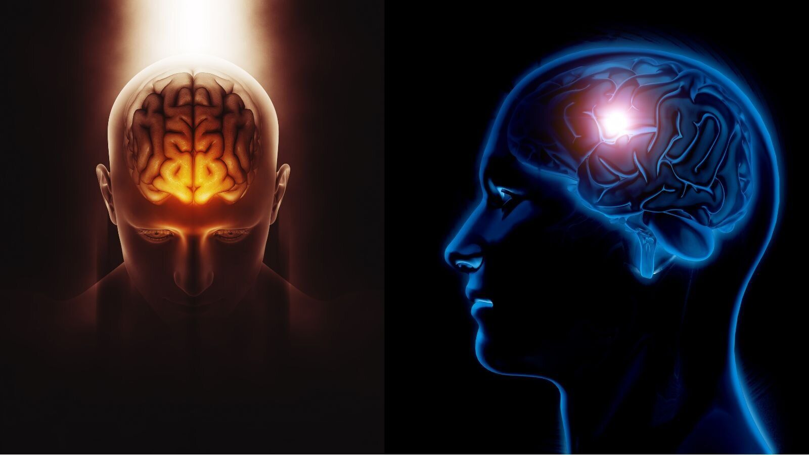 मात्र बादाम के आकार का होता है ये अंग और कंट्रोल करता है पूरी बॉडी ...